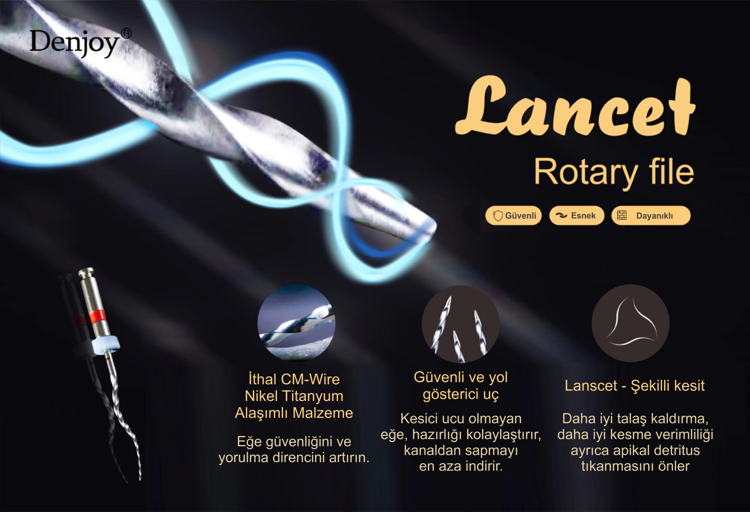 DENJOY Lancet File – GÜNEYDENT